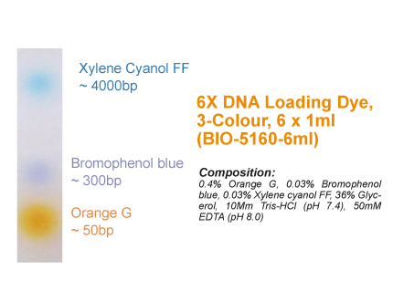 DNA Loading Dye – Apical Scientific